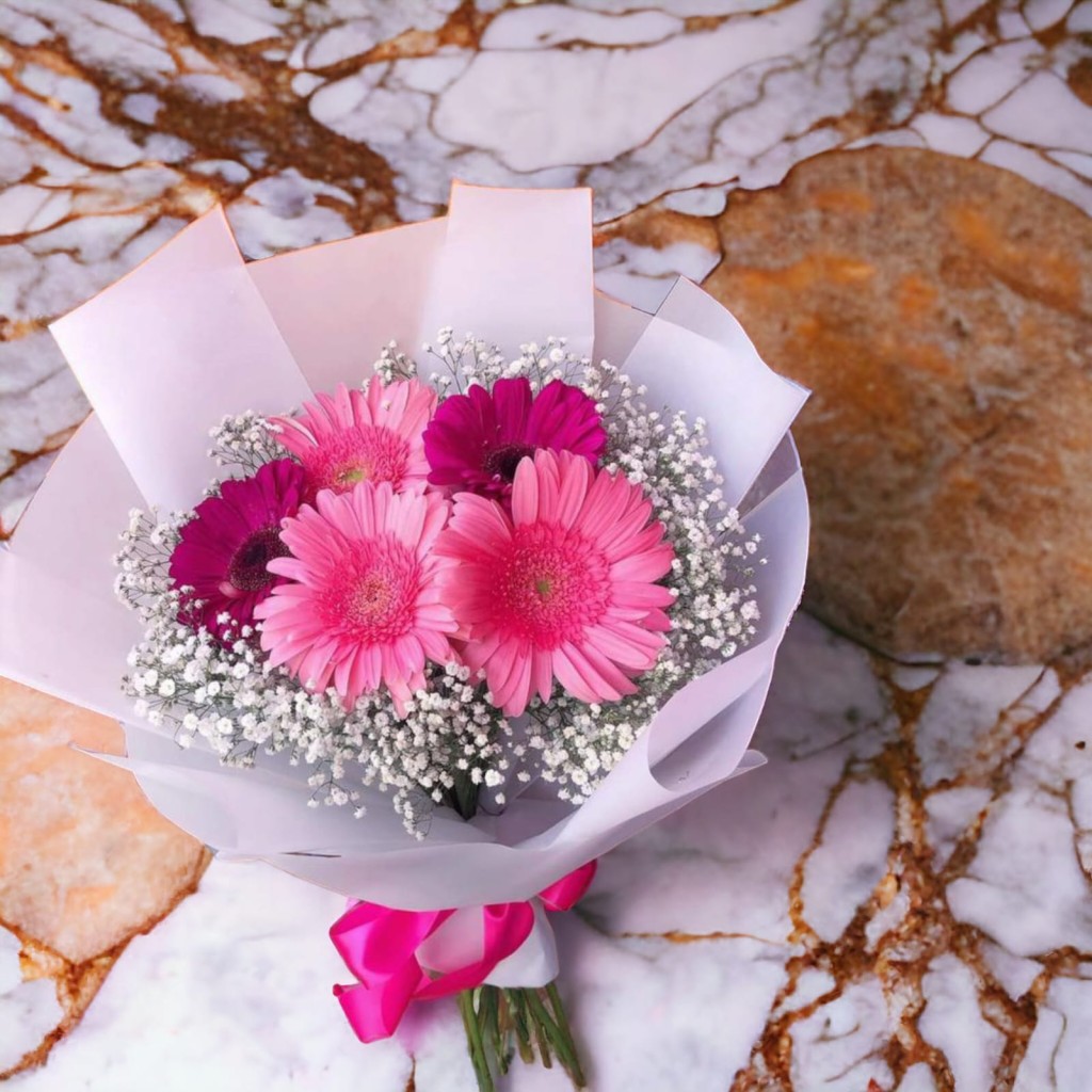 Gerberas – Rincón Floral